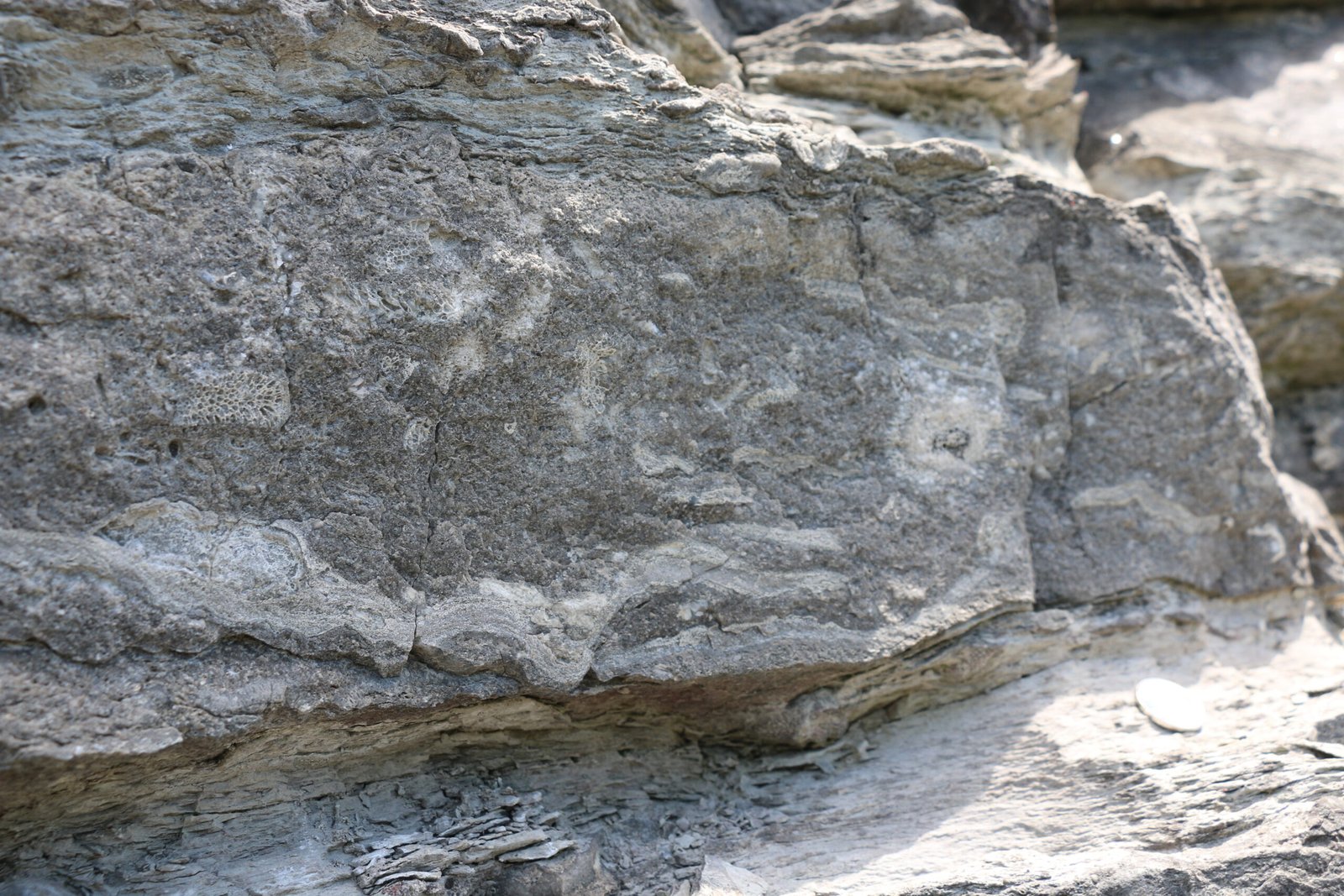 Rock, Water and Ice: The Journey of Niagara Falls - GeoscienceINFO