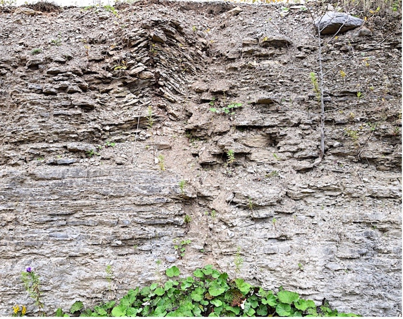 Fascinating Geological Features near Peterborough, Ontario - GeoscienceINFO