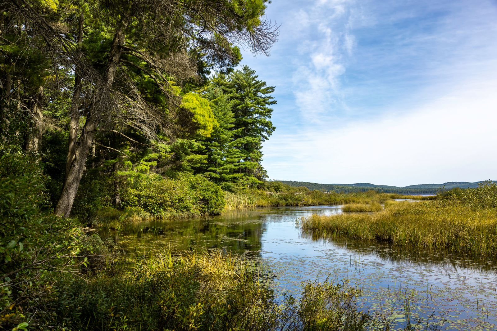 The Significance of Ontario's Ring of Fire to Canada's Climate Goals ...